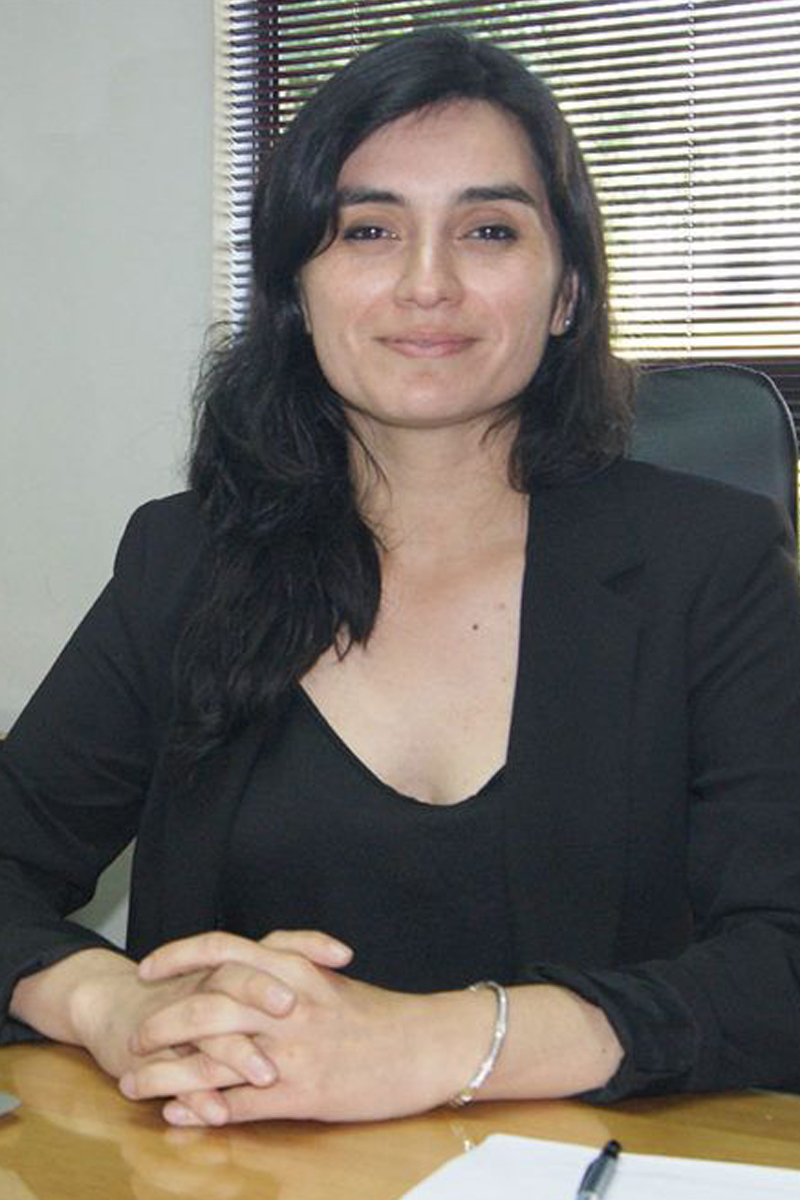 Magíster en Atención a la Diversidad en Contextos Educativos